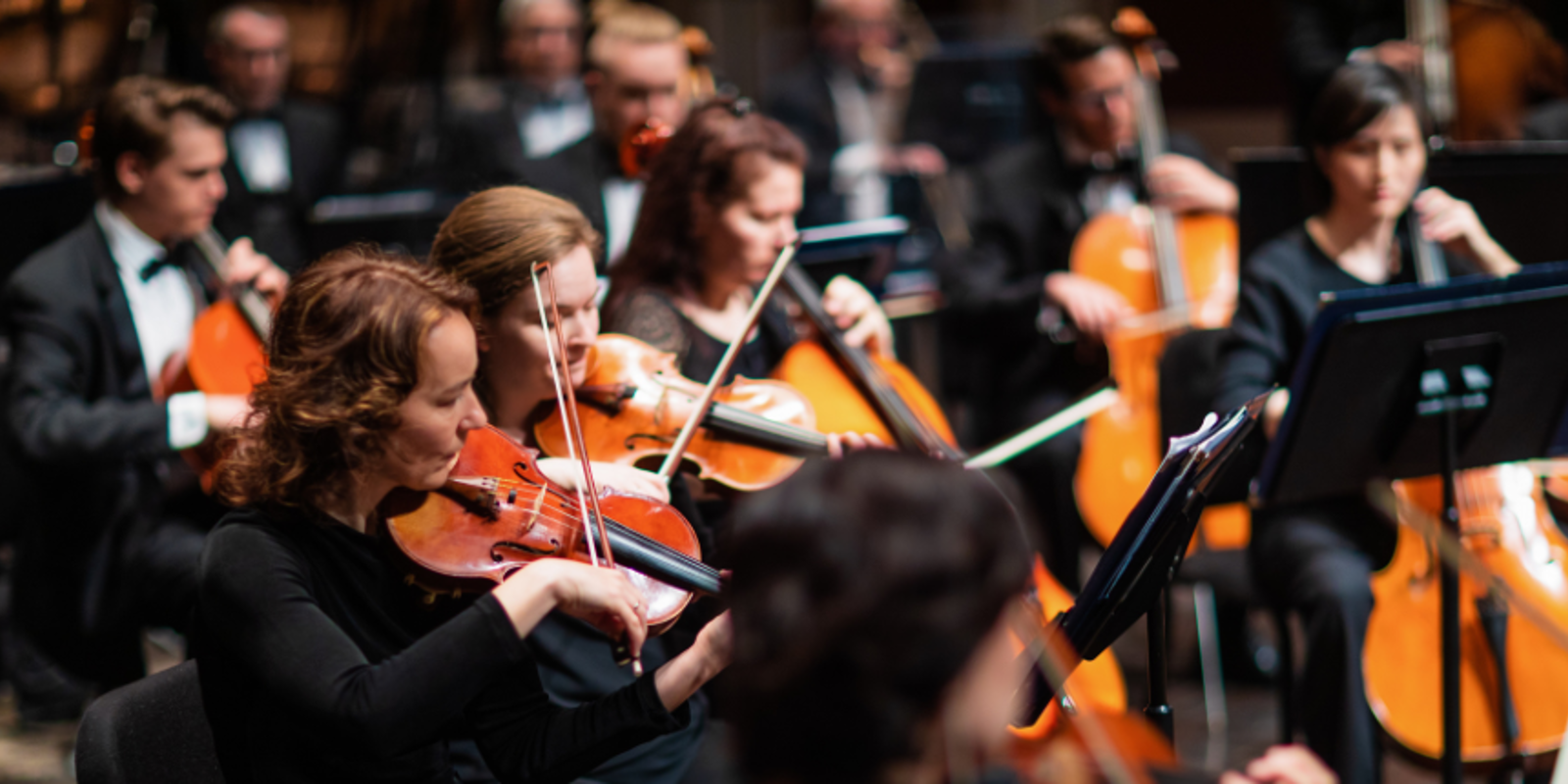 Home | South Dakota Symphony Orchestra